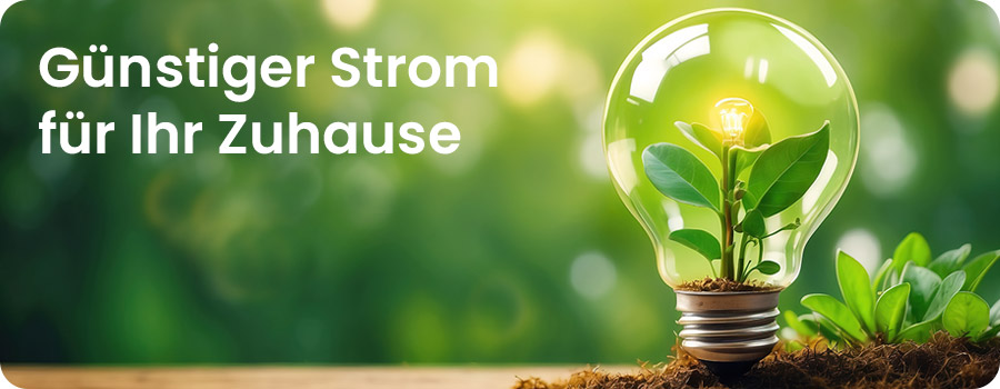 Strom - Jetzt Angebot berechnen | goldgas GmbH