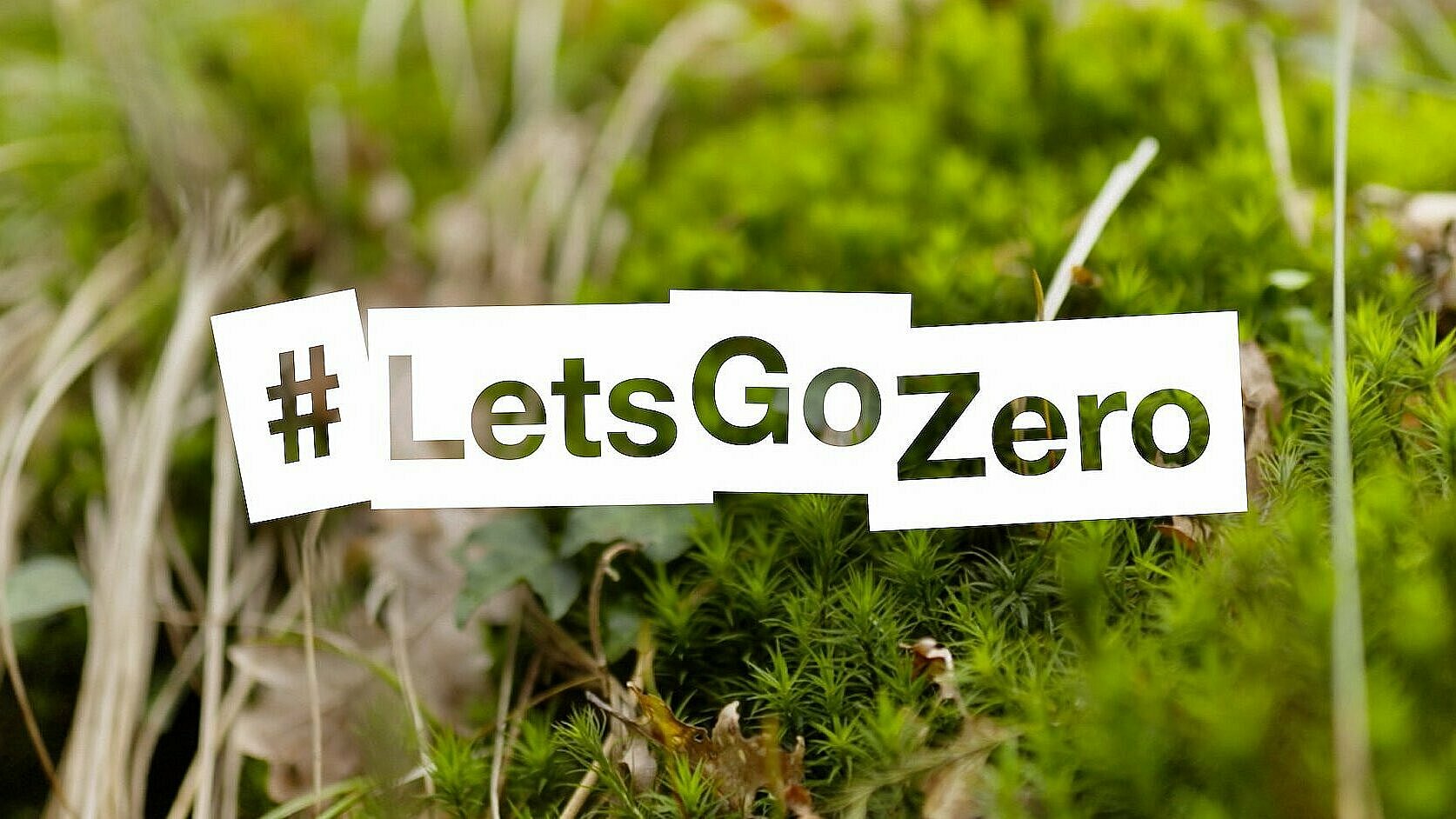 Gas & Strom von goldgas - Energieversorgung seit 2009